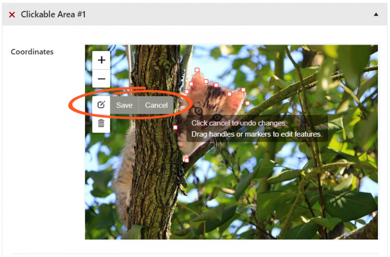 "You need to define some clickable areas" Error | WP Draw Attention
