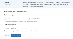 Polylang for Translations | WP Draw Attention