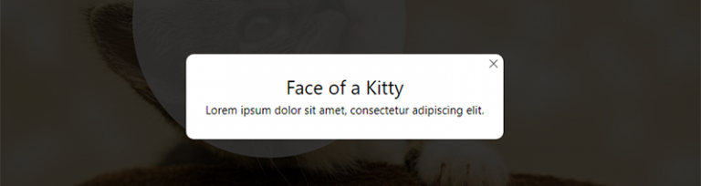 Styling with CSS | WP Draw Attention